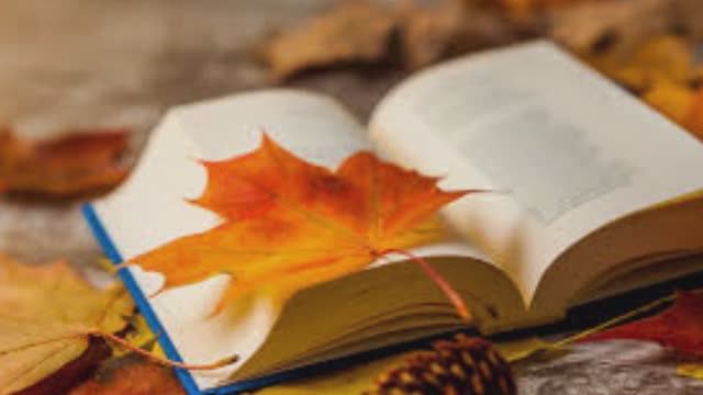 Осень // исполнитель Алексей Смирнов // время V минус