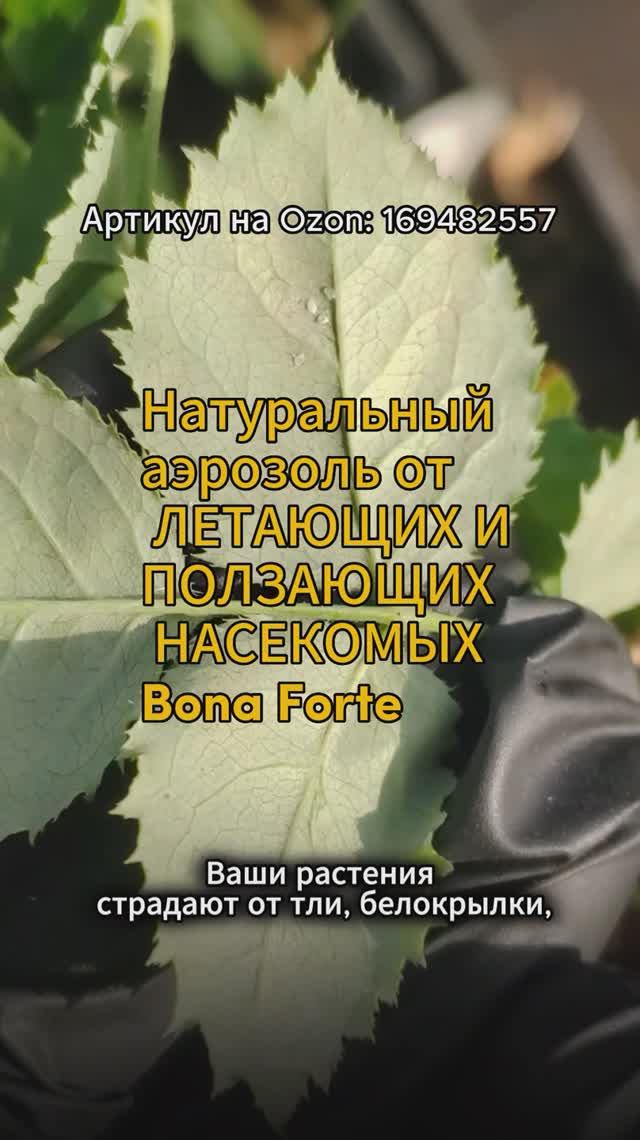 Натуральный аэрозоль от летающих и ползающих #насекомые #shorts