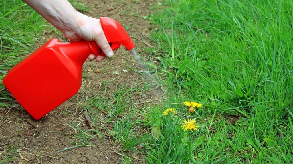 Как быстро избавиться от травы и сорняков навсегда За 2 Секунды!!!