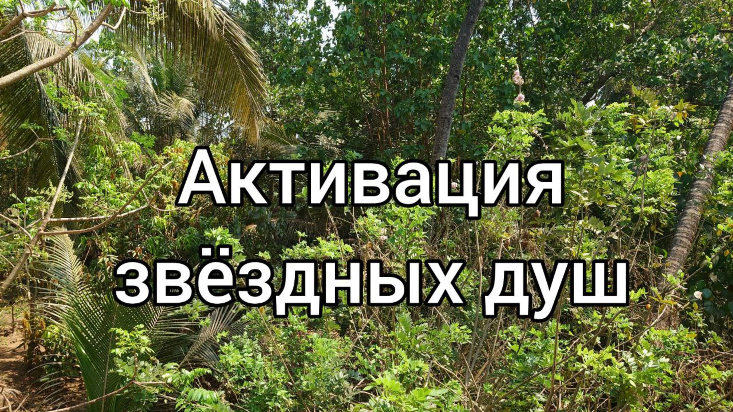 Активация звездных душ)) Странники)) Миссия на Земле)