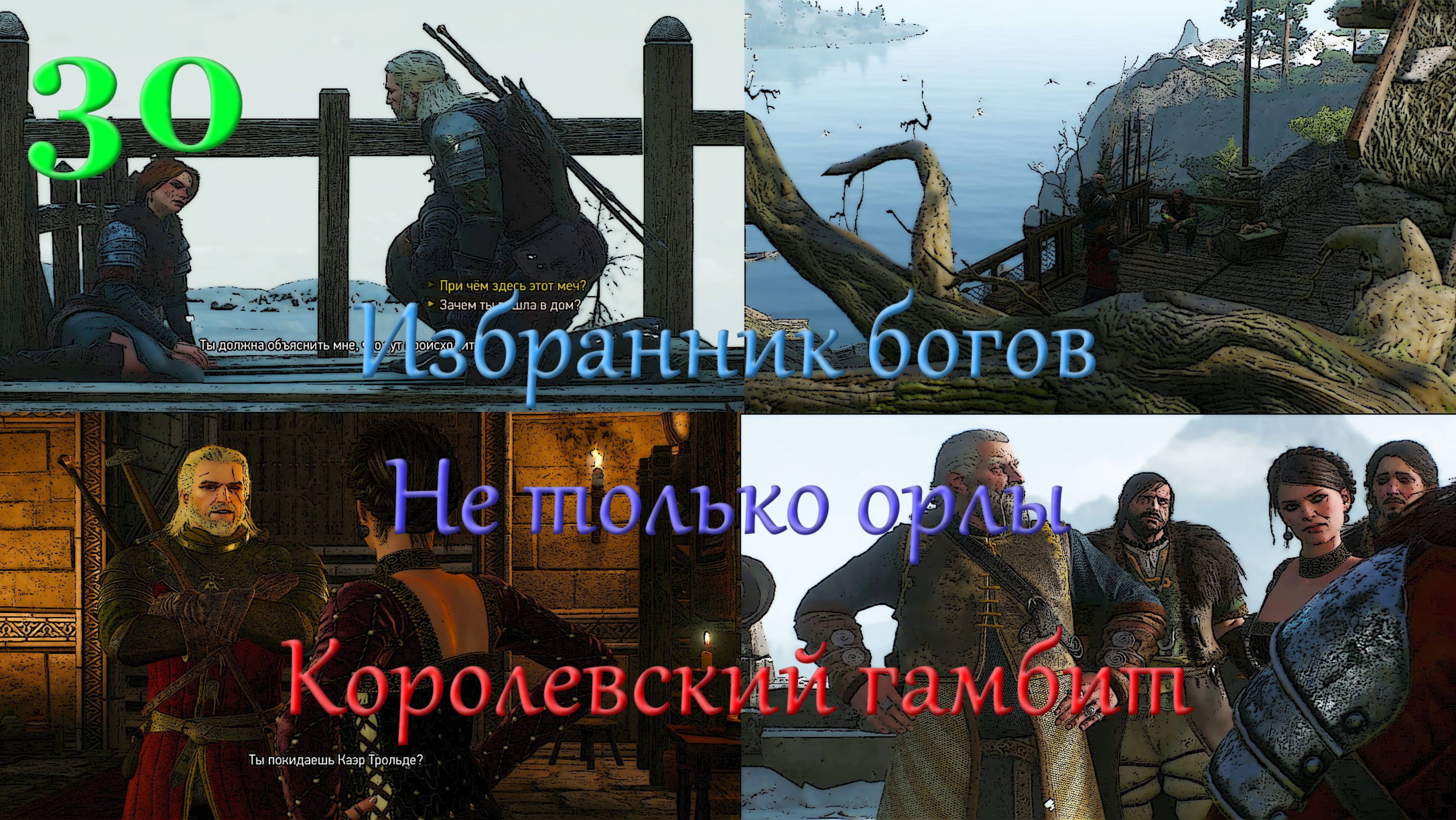 Ведьмак 3: Дикая Охота_30_(The Witcher 3: Wild Hunt)