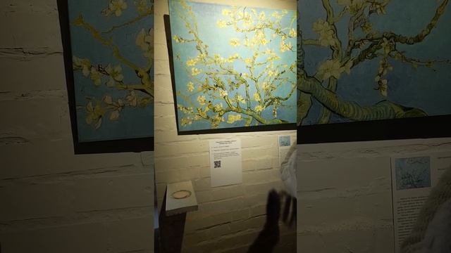 На выставке репродукций Ван Гога