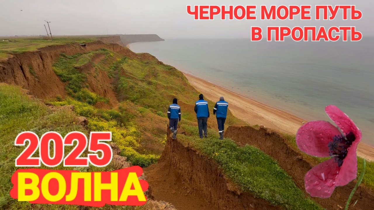 Поселок #Волна 25.04.2025 Штаб Дельфины. Пляж, Черное море