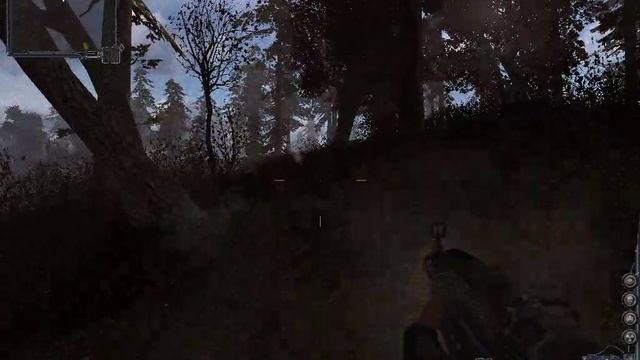 Сталкер ЧН 17. Хождение по Рыжему лесу