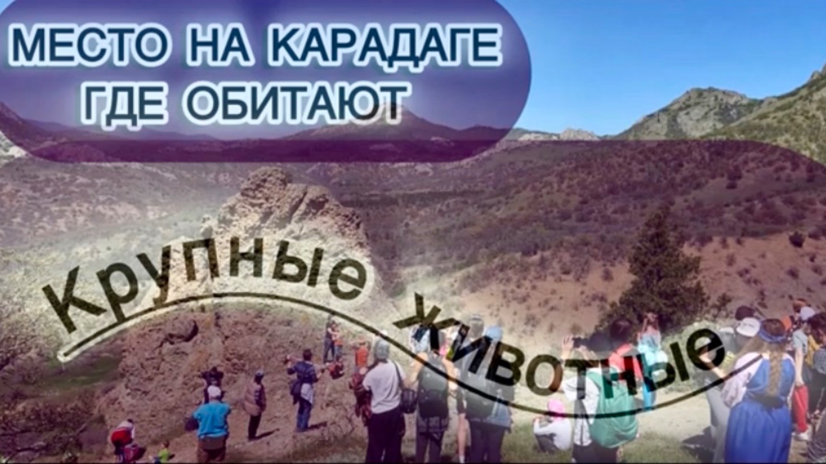 Где на Карадаге обитают крупные животные?