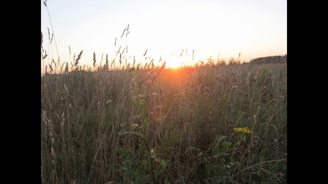 Плыли мы на лодочке авторская песня стихи исп фото видео Татьяна Талызина муз Виктор Воронцов