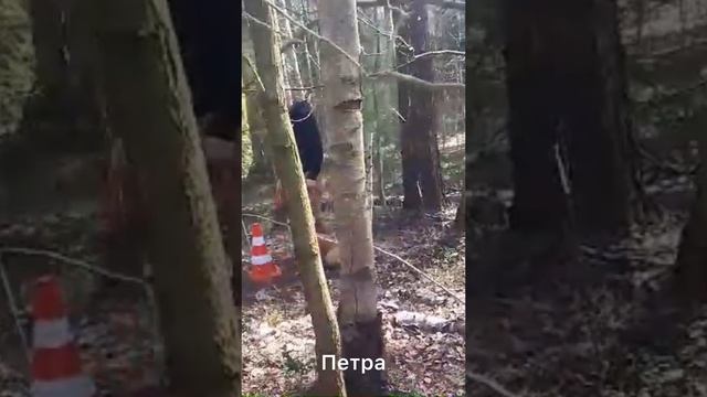 Tcenniy Prize Amstaff. Изюминские встречи 2025