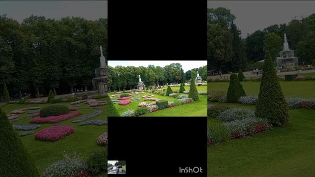 цветники Петергофа