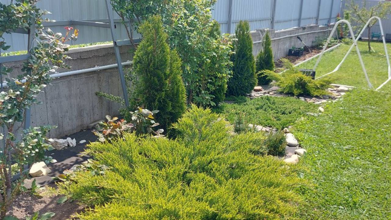 Как изменился наш участок за три года.