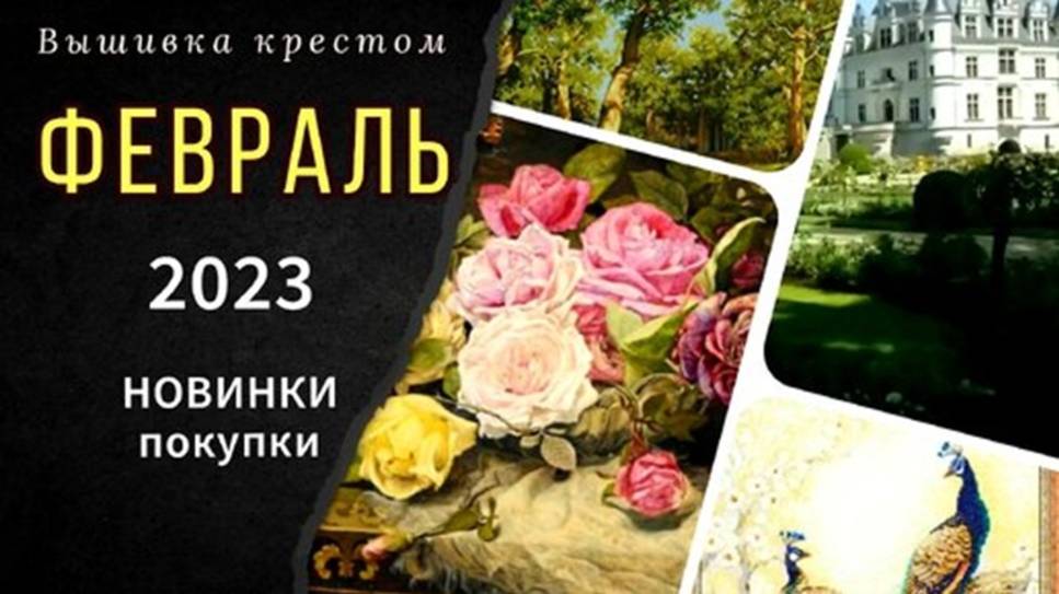 Новинки Химеры_Финиш Алиса_Покупки_Февраль 2023_Обо всем понемногу (1)