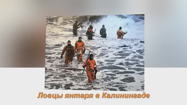 Калининградский янтарь: от добычи в море до прилавка магазина и музея.От древности до современности