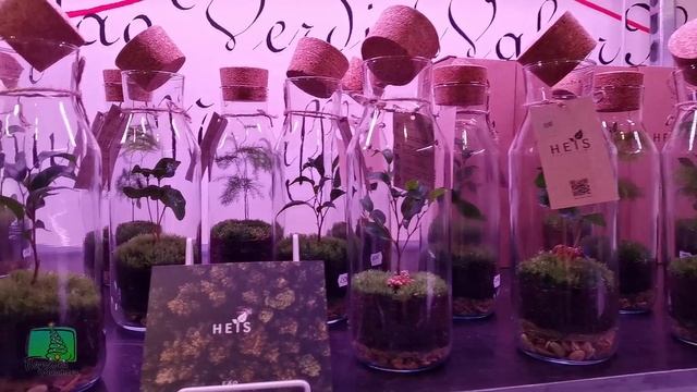 Общественный проект: Подъёлка мастера | 08.01.2022

Команда ANYWAY [LM 87]