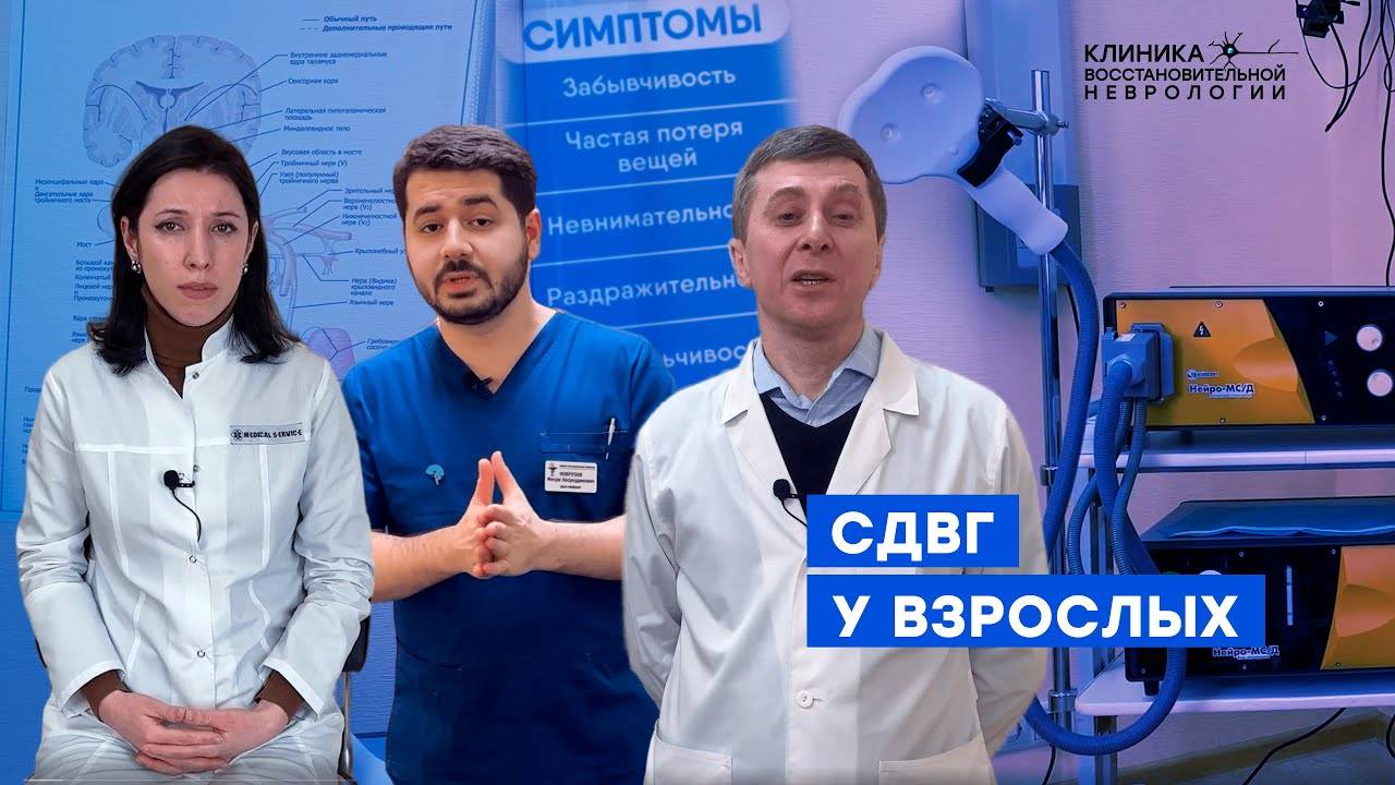 СДВГ у взрослых