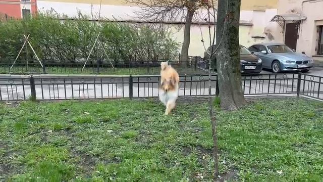 Хуру, апрель 25