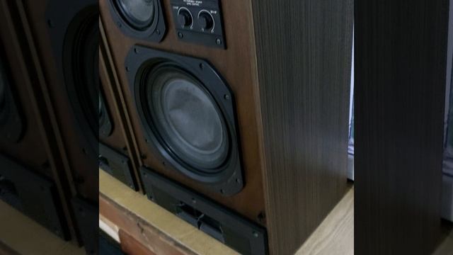 Колонки radiotehnika s90f.СССР