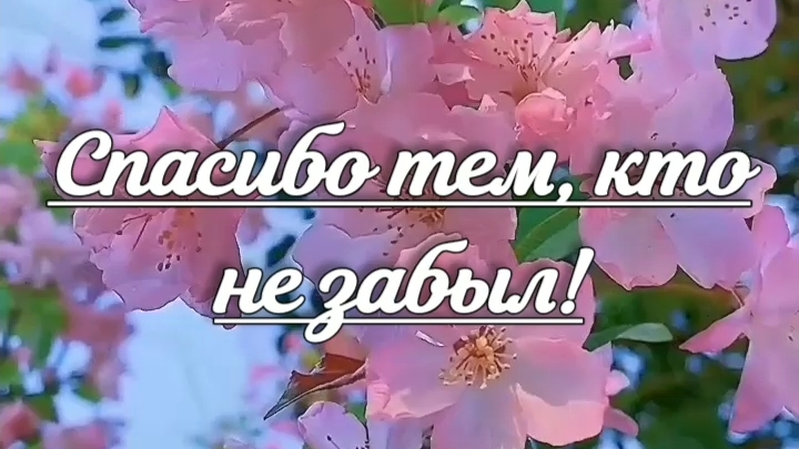 Спасибо тем, кто не забыл ❤💕🙏 | христианский стих