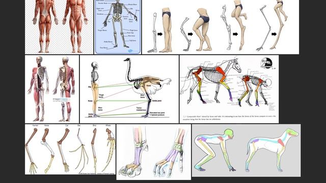 08_02_what_shapes_the_body