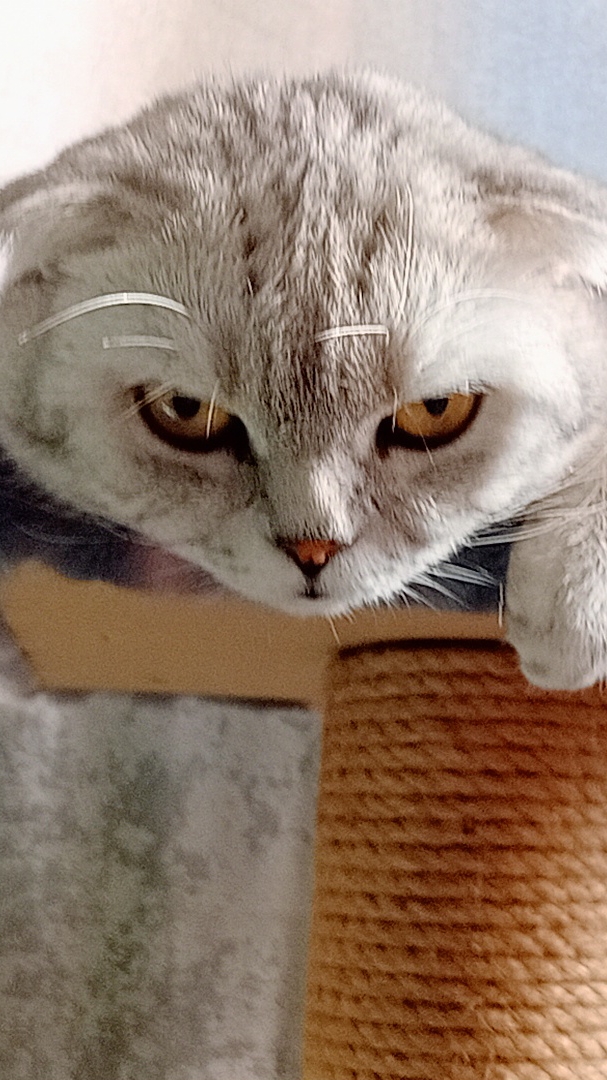 😻Вы меня не сломаете...😻