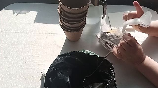 Как наши дела на подоконничке