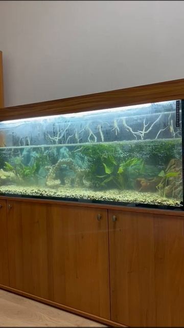 Аквариумы 1500л