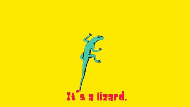 Pets Talking Flashcards