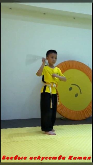 Все мои одноклассники завидуют мне из-за того, что я умею пользоваться нунчаками