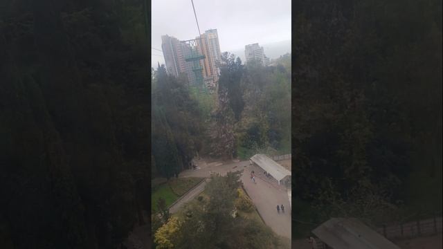 Поездка в Дендропарк г.Сочи