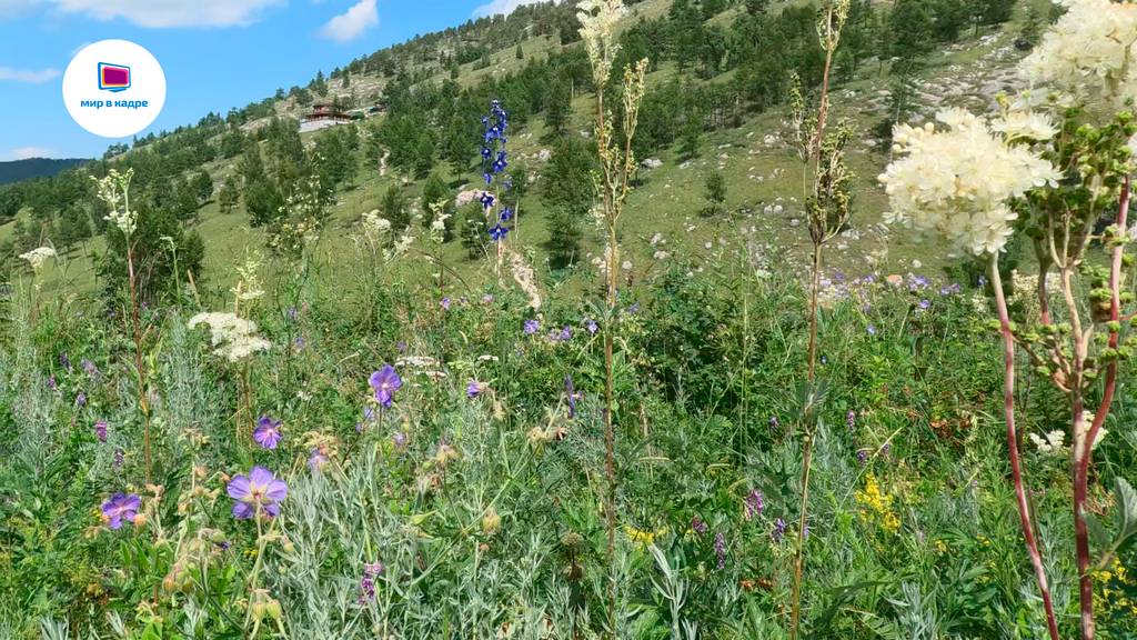 Лето Хакасии. Подножие  хребта Тегир-Тыз_р