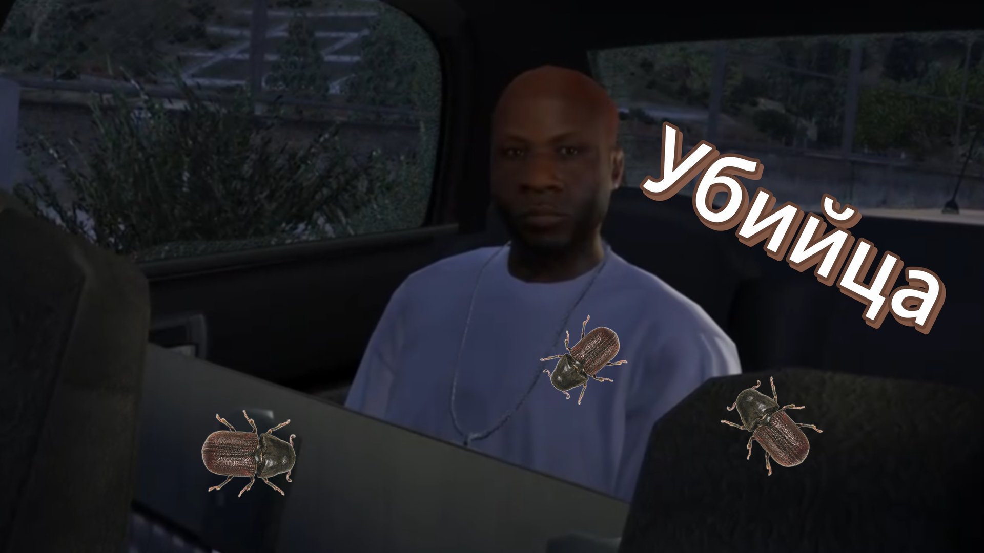 Такси Даун Короеды Taxi Down Bark Beetles