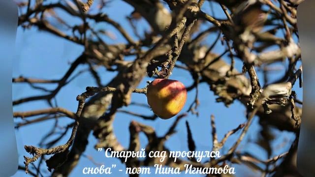 "Старый сад проснулся снова" - поэт Нина Игнатова