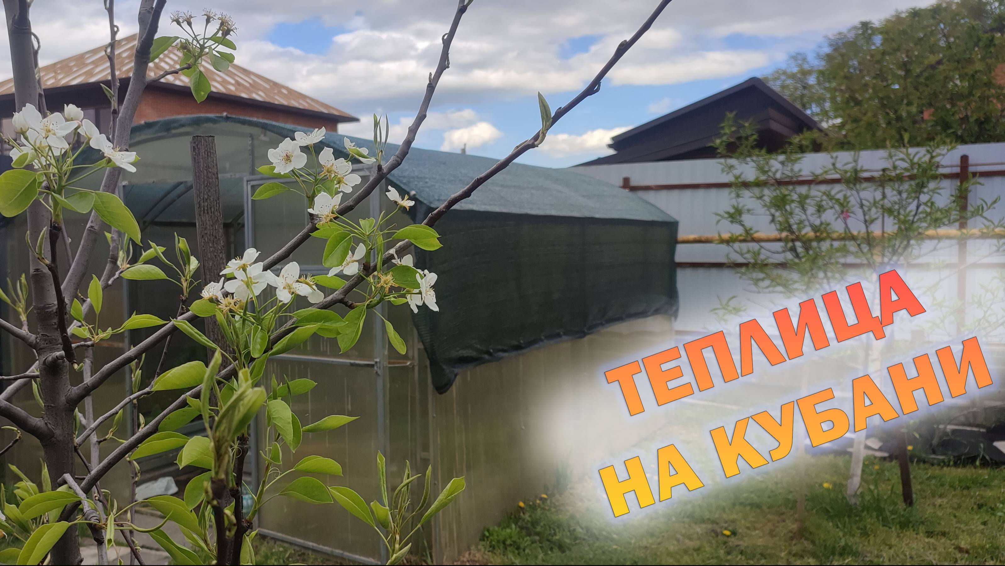 Теплица, спасаемся о жары