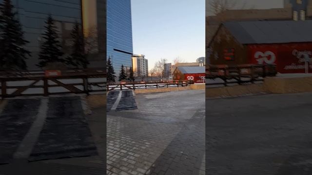 Конец февраля в Красноярске. Ёлка, каток