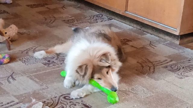 Вик и змей, апрель 25