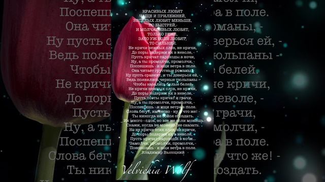 Пусть кричат пароходы в ночи…Владимир Высоцкий. Velvichia Wolf #стихи #поэзия #shorts