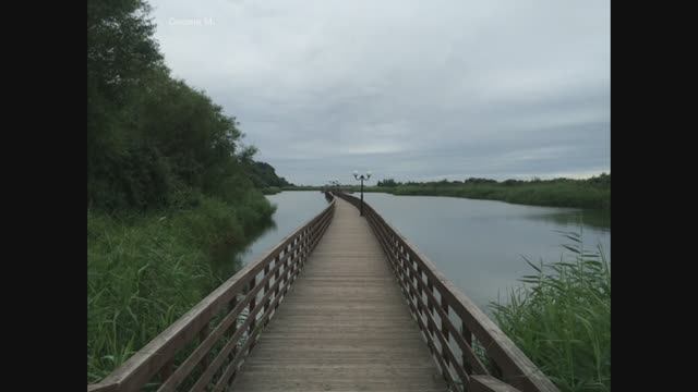 Калининград, Светлогорск, Янтарное. Фотографии.mp4