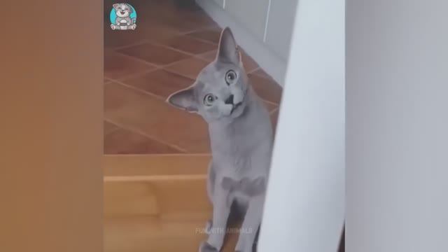 Непредсказуемые животные