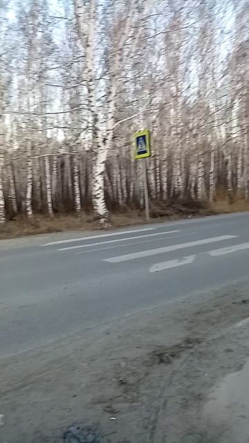 пешеходный переход на 2-ой Снежной, Барнаул