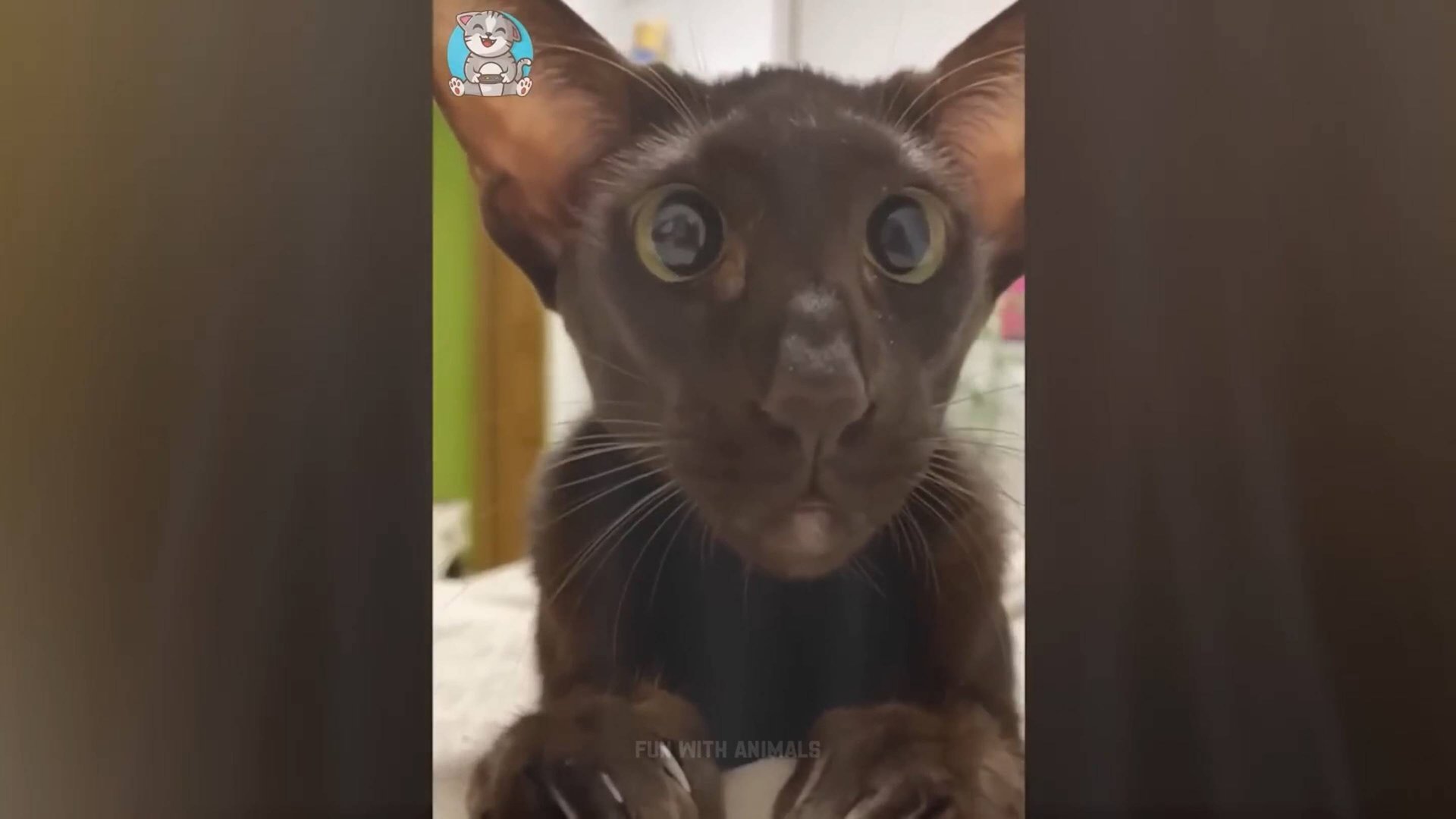 Непредсказуемые животные 3