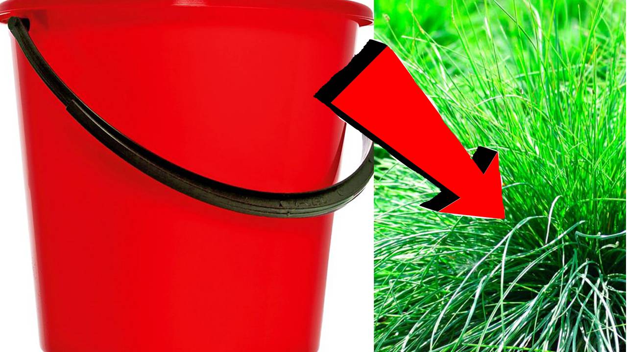 Как избавиться от травы и сорников навсегда За 3 Секунды!......