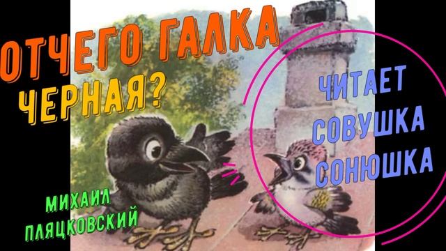 Михаил Пляцковский - Отчего галка черная?