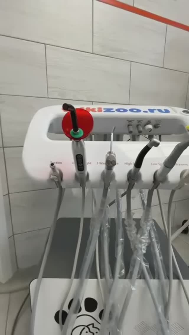 О стоматологической установке расскажет коротко Ветеринарный врач стоматолог Зюков Иван Ильич