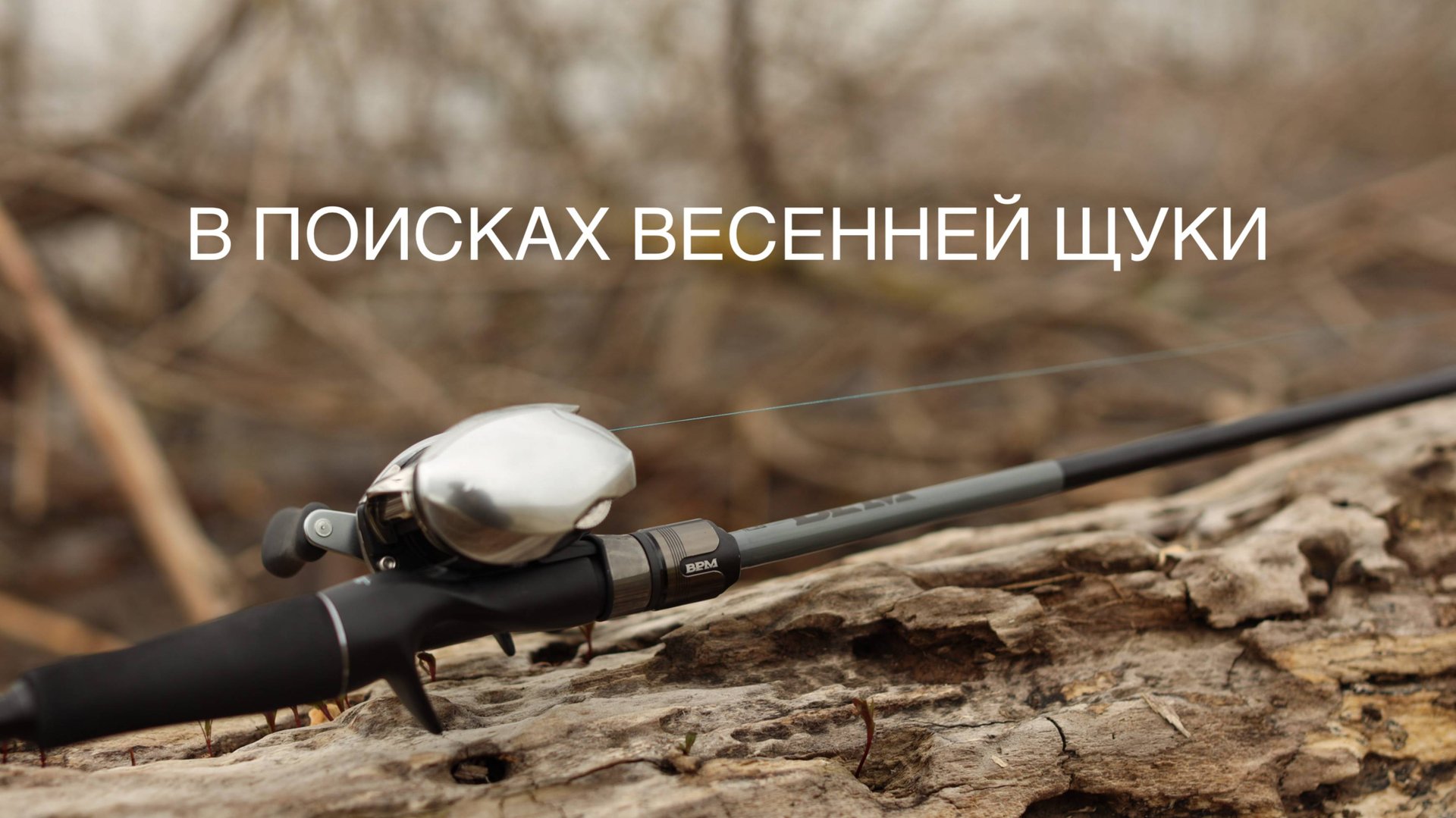 В поисках весенней щуки