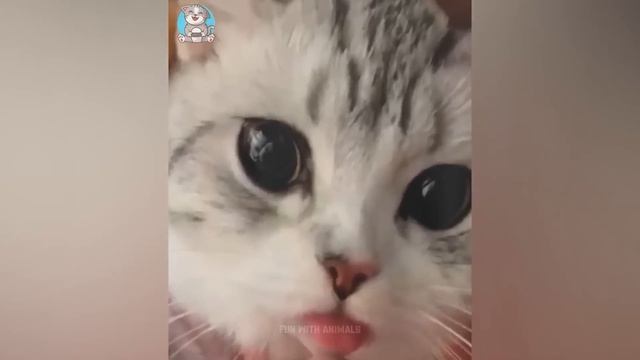 Непредсказуемые животные 5