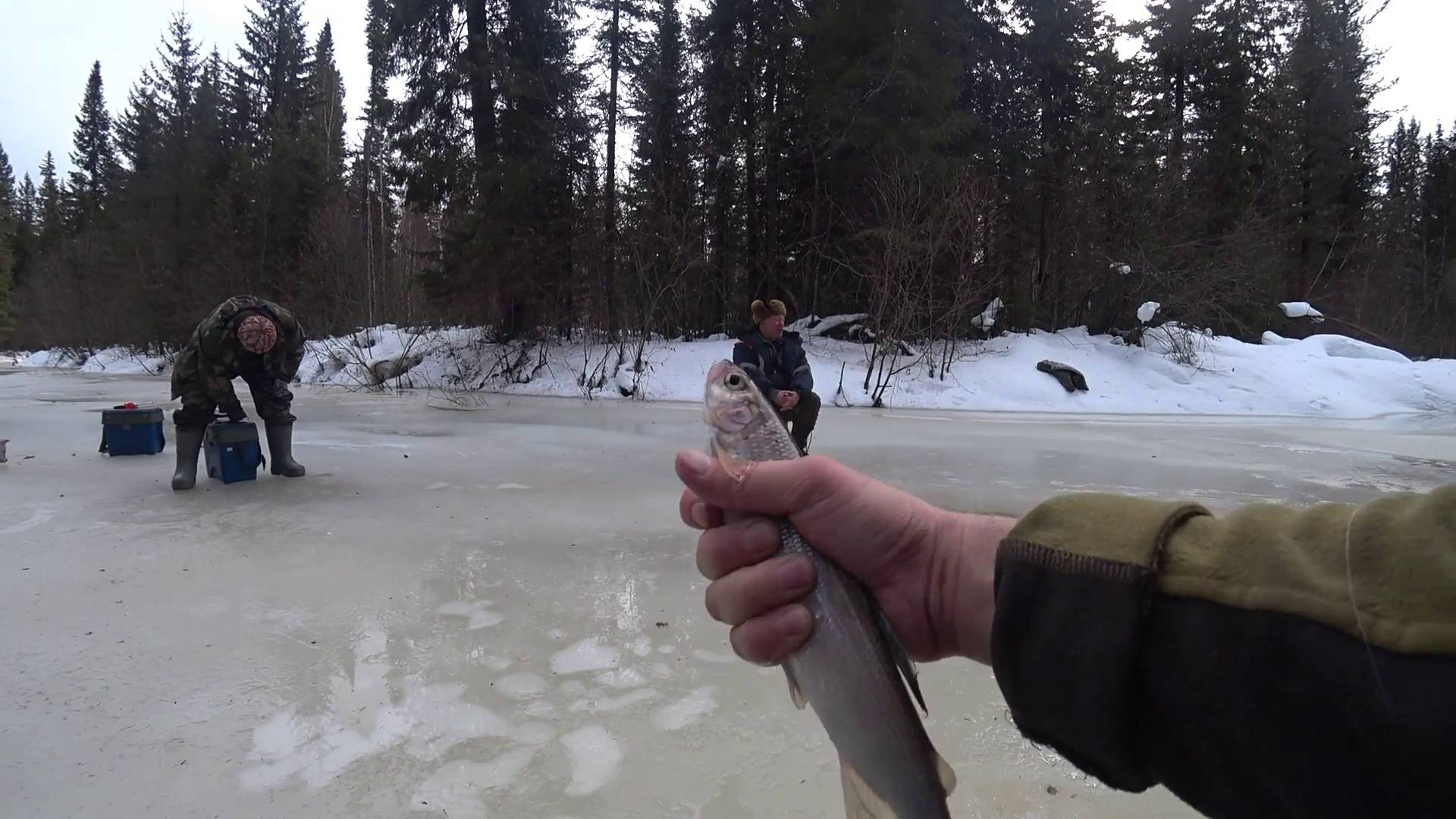 ЗАКРЫТИЕ ЗИМНЕЙ РЫБАЛКИ НА ХАРИУСА