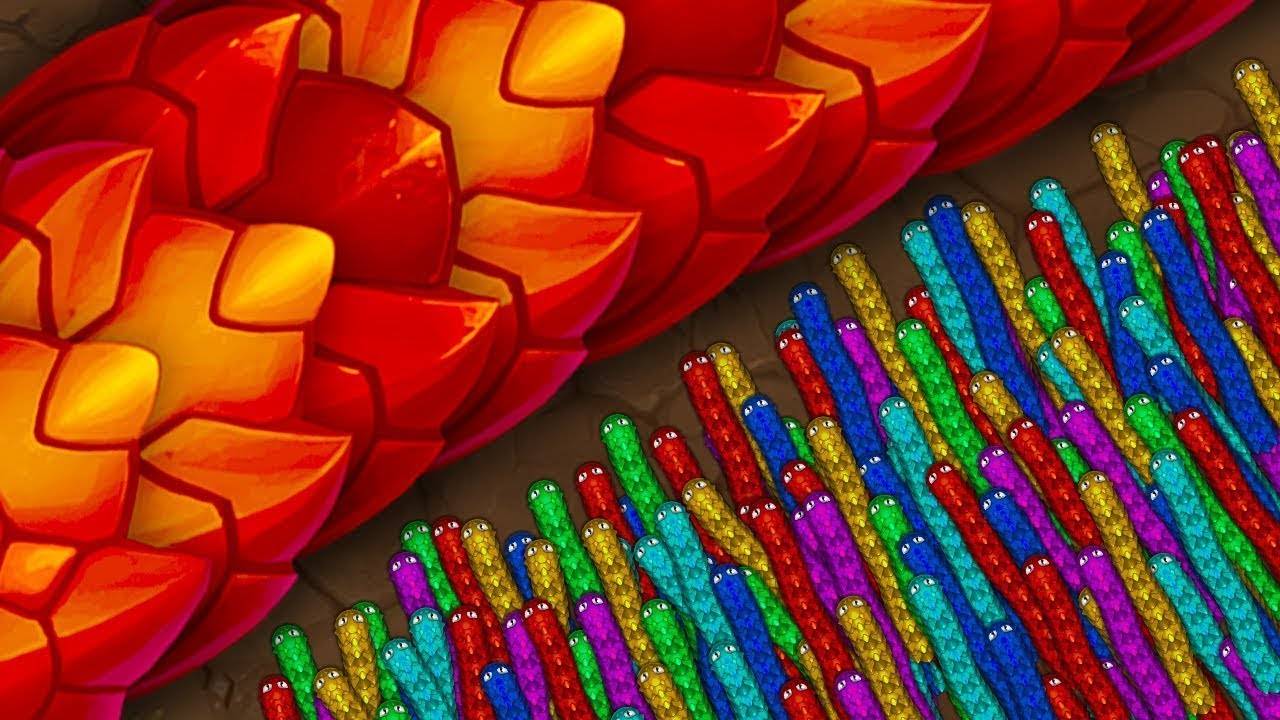 ЭВОЛЮЦИЯ ЗМЕЙ - Littlebigsnake.io