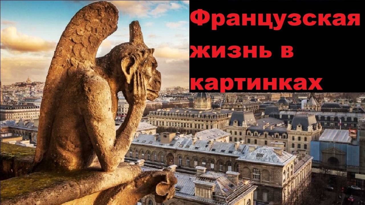 Французская жизнь в картинках