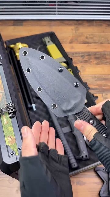 Что вы думаете об этой стае👀