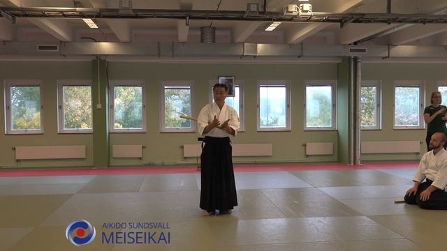 9 Aikido Philosophy What Is Strength, Shishiya Sensei Malmö 2018
