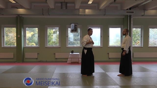 10 What Is Aikido, Amazing  Philosophy Lesson By Shishiya Sensei Malmö 2018