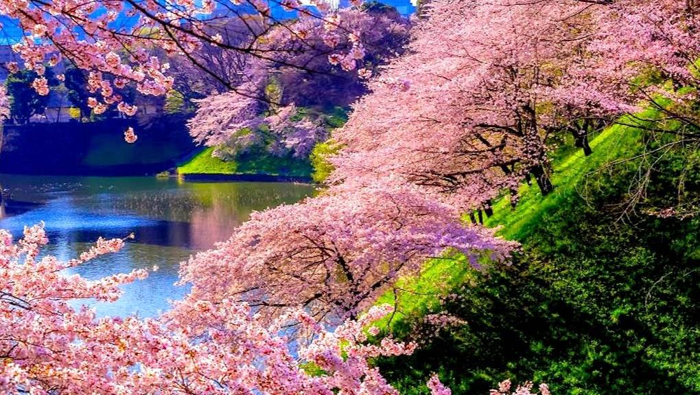 Гармония материальной стороны жизни